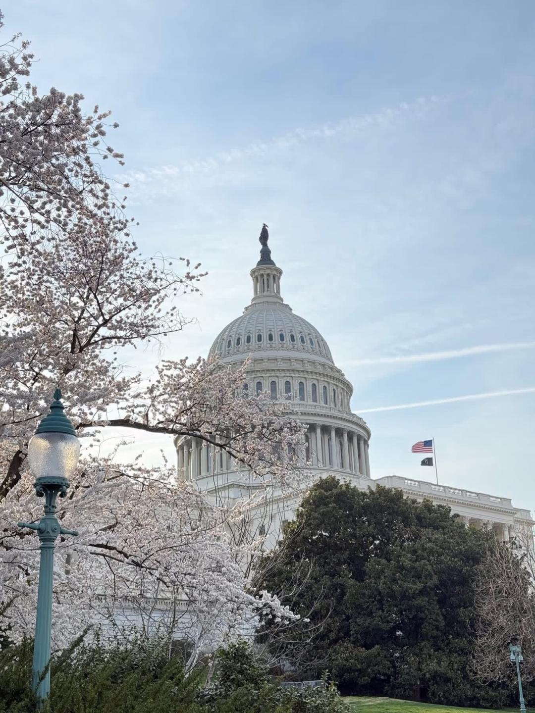 SOMA Brings a Sea of White Coats to Advocate for Patients and ...